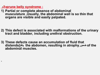 1_41963844821581863 muscular system .ppt | Biological Sciences | Science