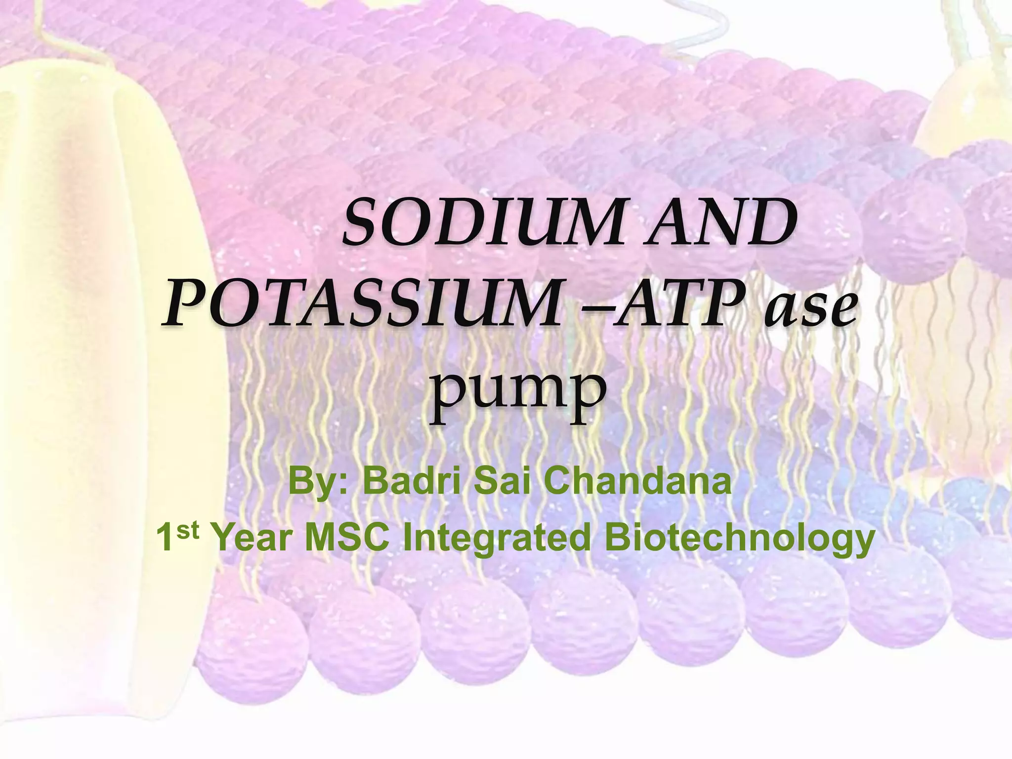 Sodium and Potassium pump ATPase | PPTX
