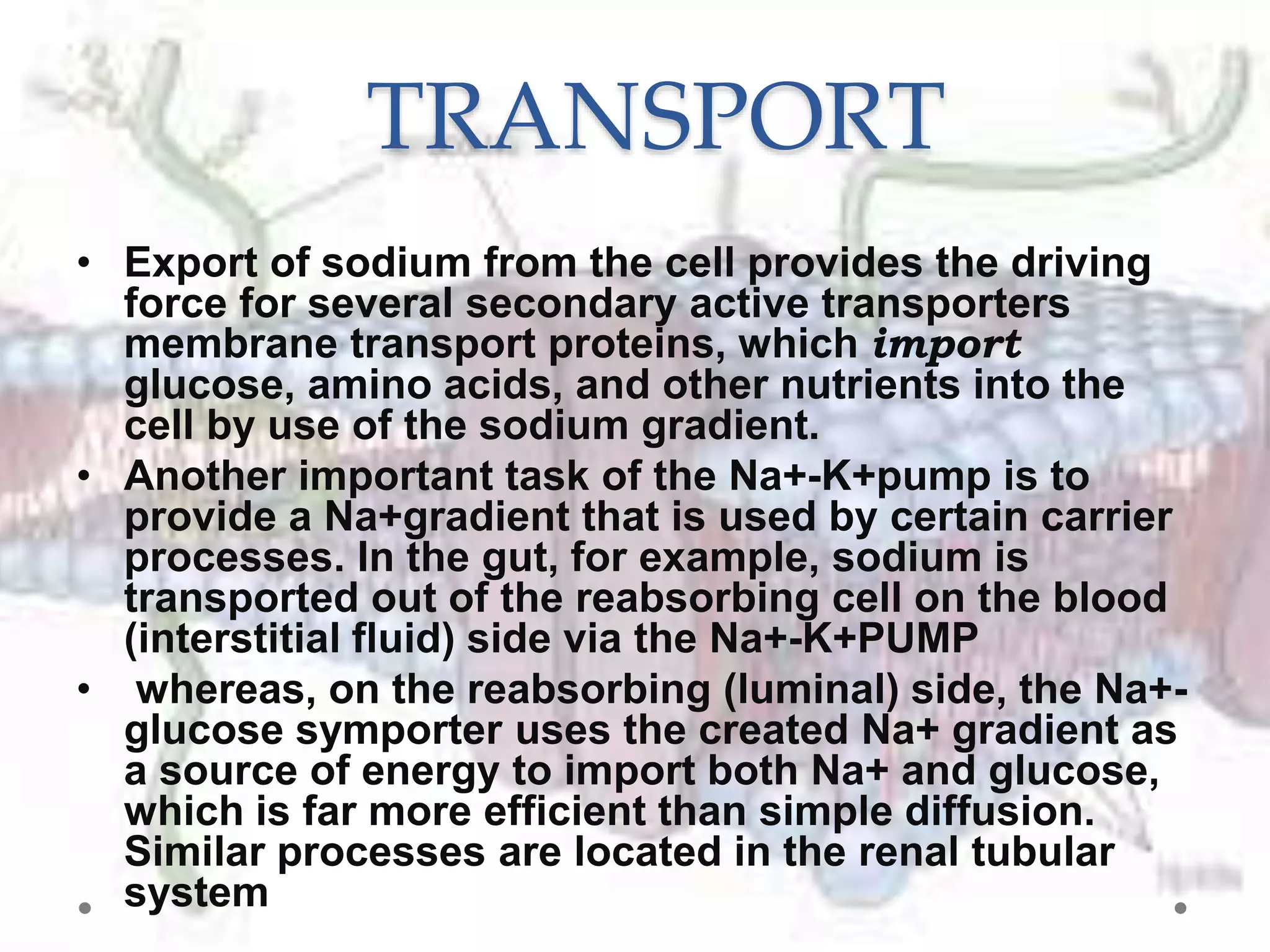 Sodium and Potassium pump ATPase | PPTX