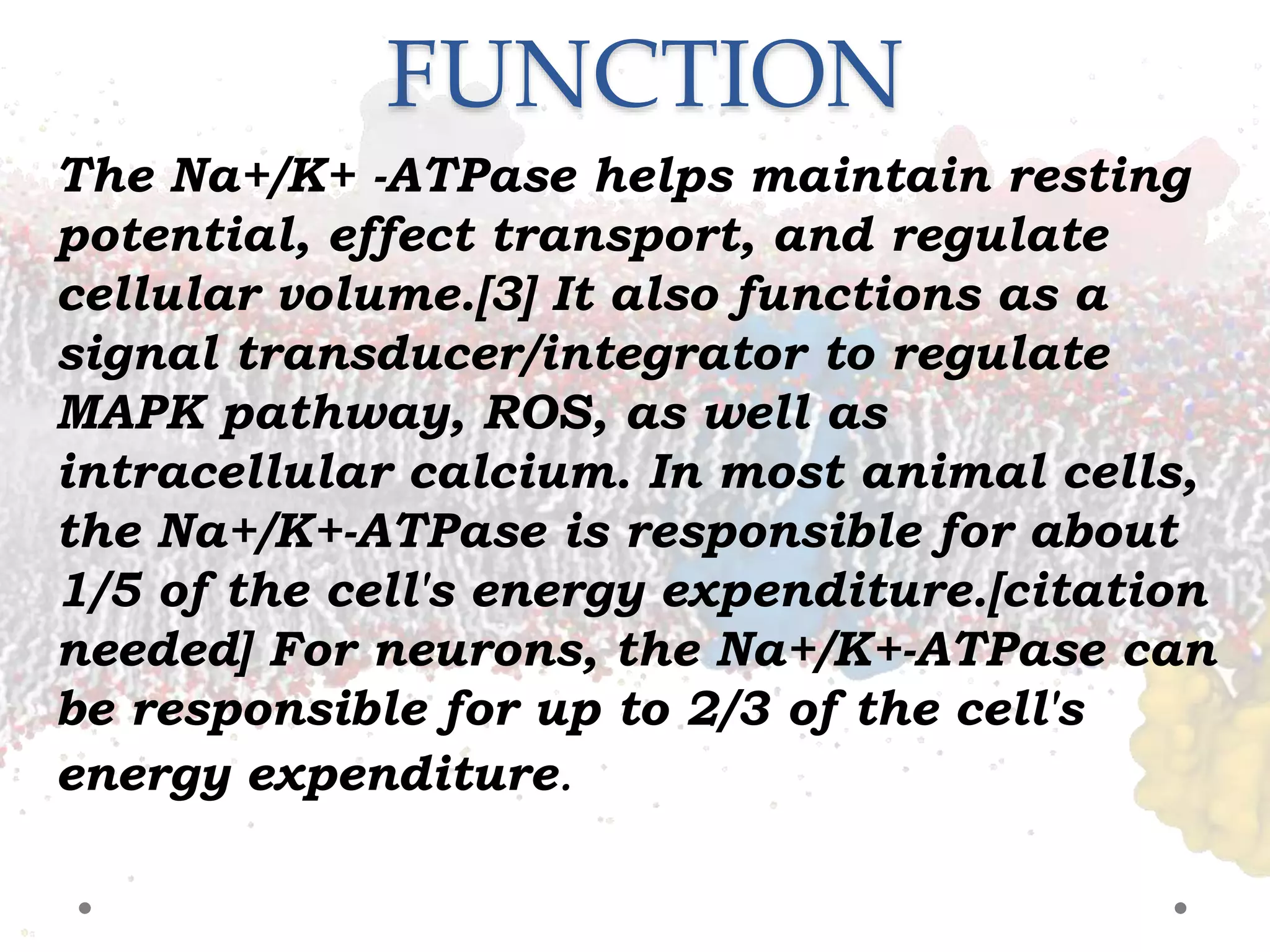 Sodium and Potassium pump ATPase | PPTX