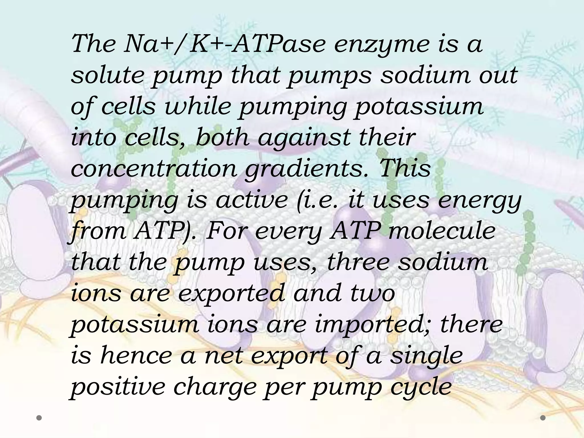 Sodium and Potassium pump ATPase | PPTX