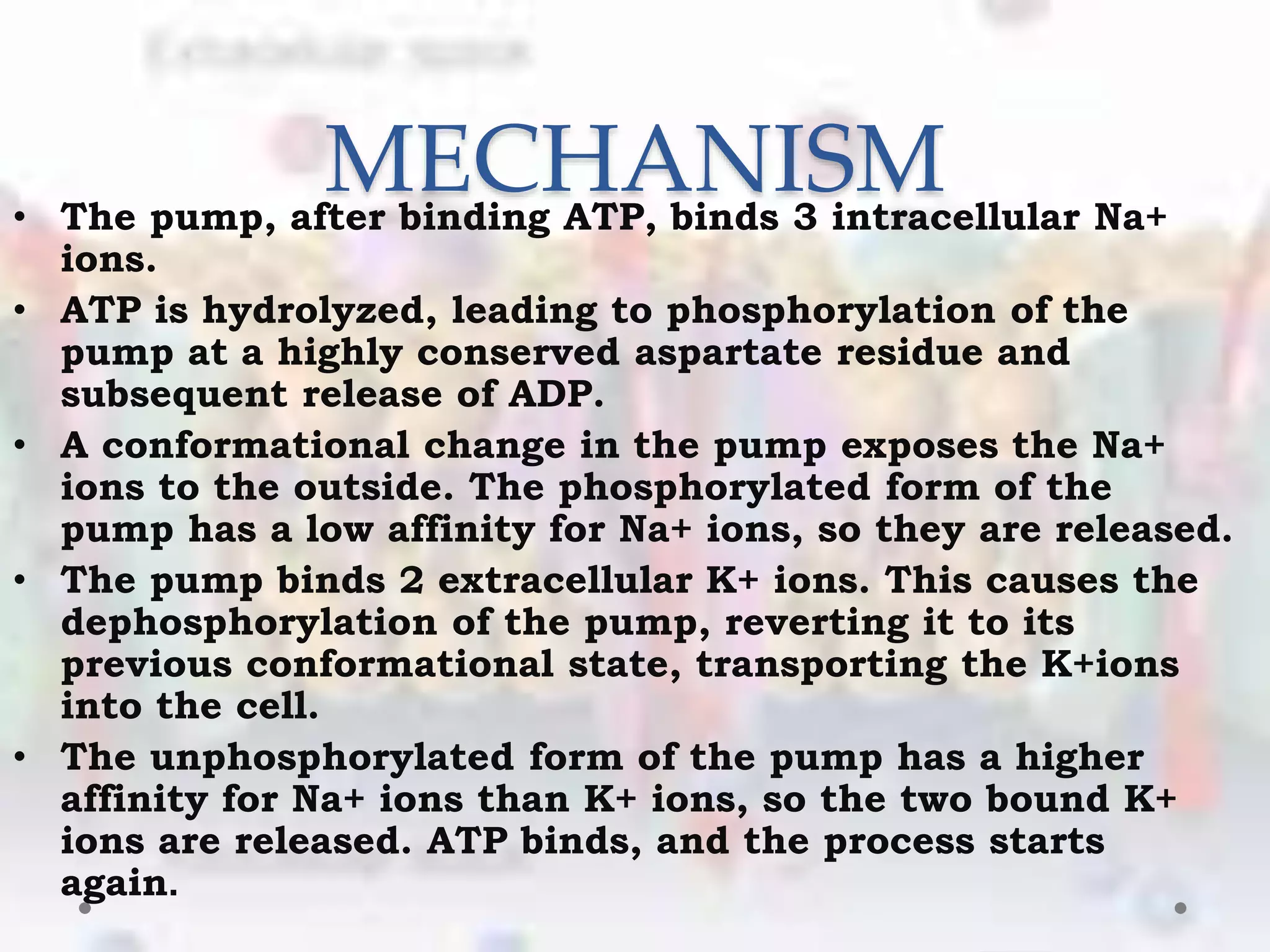 Sodium and Potassium pump ATPase | PPTX