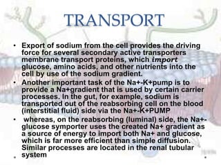 Sodium and Potassium pump ATPase | PPTX