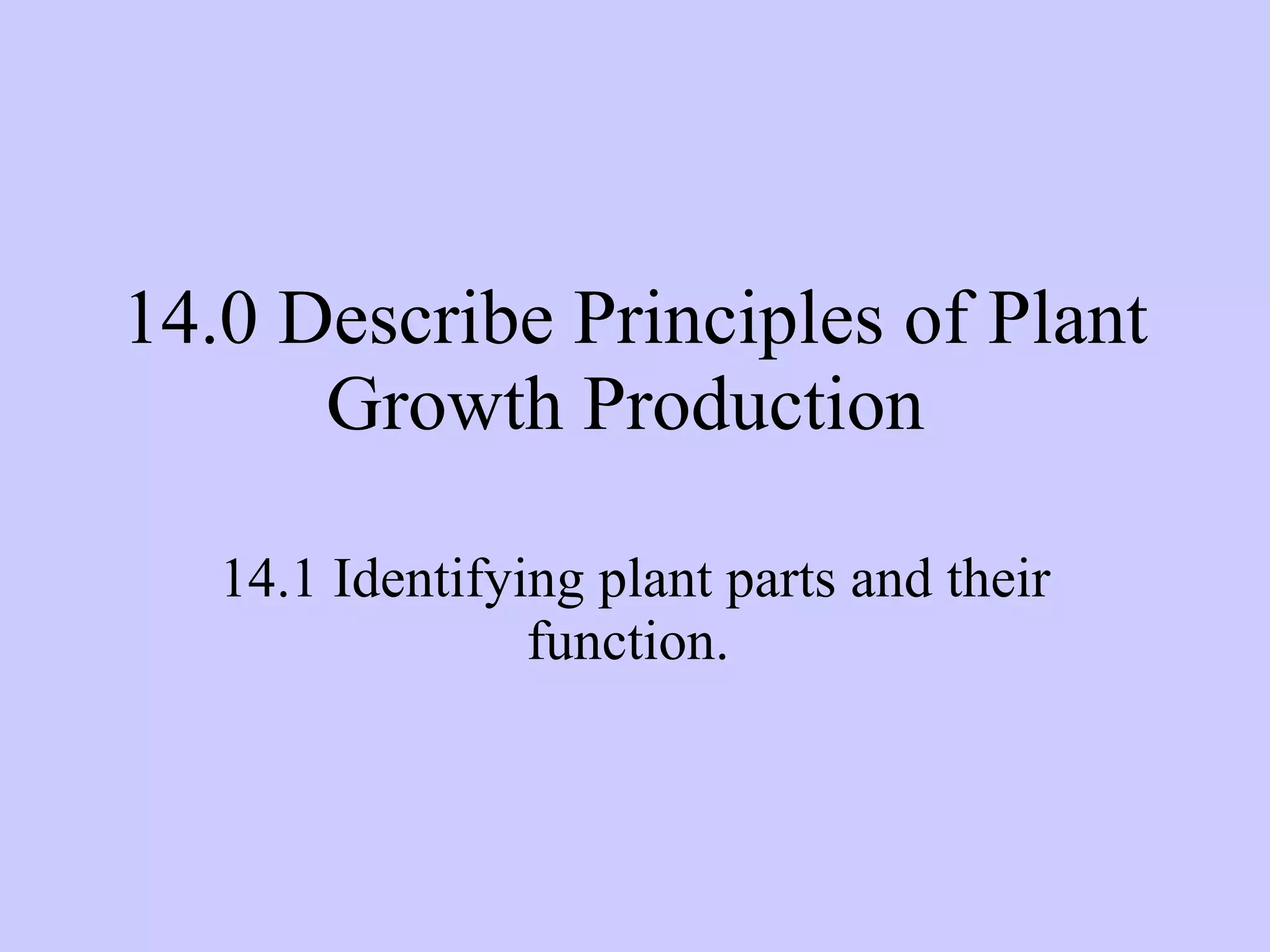 14-1 Plant Anatomy | PPT