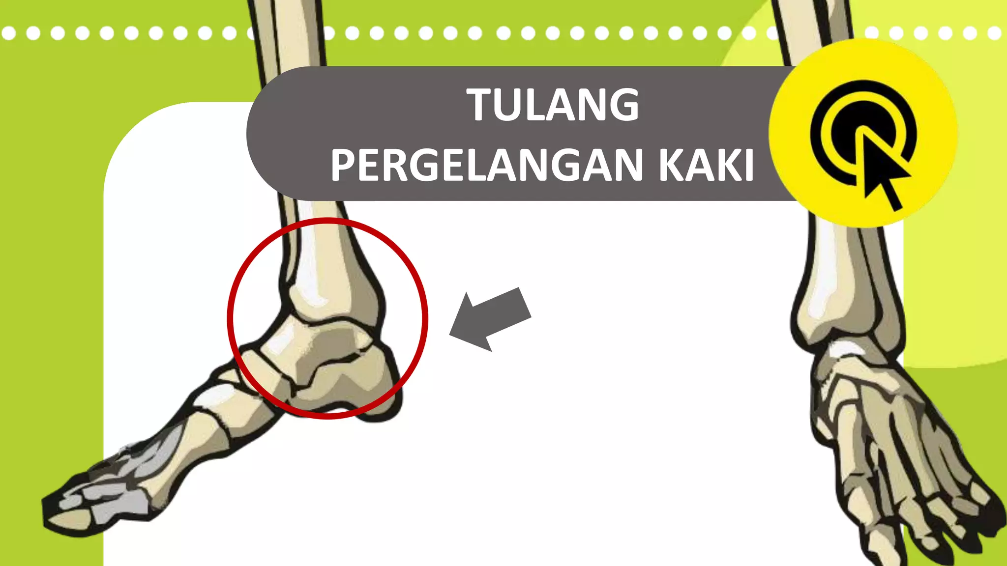 mengenal tulang pada manusia part 2 | PPSX