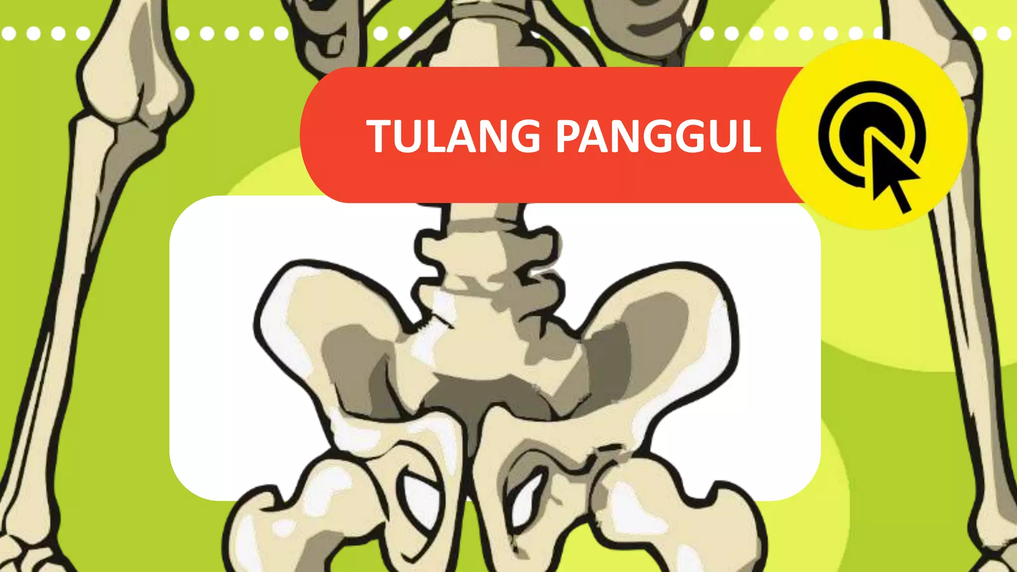 mengenal tulang pada manusia part 2 | PPSX
