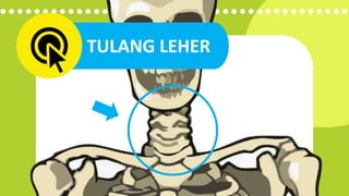mengenal tulang pada manusia part 2 | PPSX