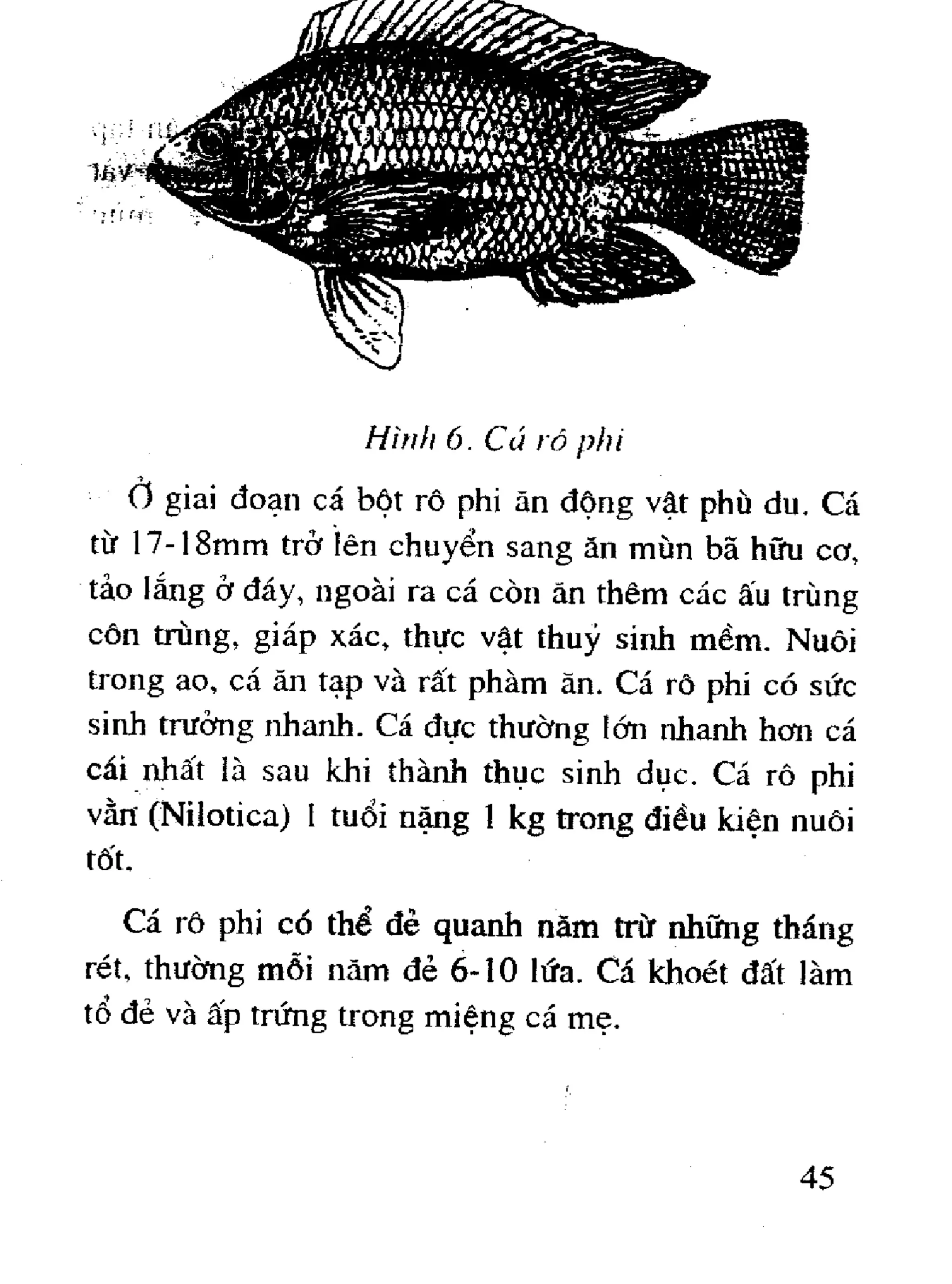141 So Tay Huong Dan Nuoi Ca Nuoc Ngot Pdf