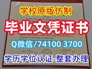 ISU Bachelor Diploma | PPT