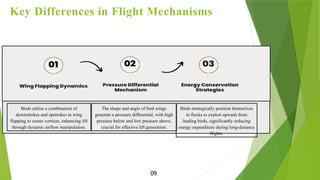 Explain and Compare between Bird Flight Mechanism with Aircraft Flight ...