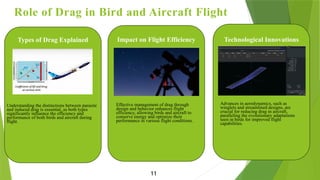 Explain and Compare between Bird Flight Mechanism with Aircraft Flight ...