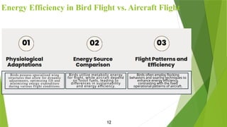 Explain and Compare between Bird Flight Mechanism with Aircraft Flight ...