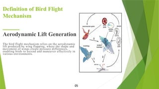 Explain and Compare between Bird Flight Mechanism with Aircraft Flight ...