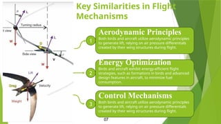 Explain and Compare between Bird Flight Mechanism with Aircraft Flight ...