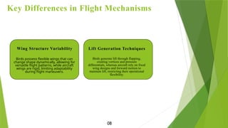 Explain and Compare between Bird Flight Mechanism with Aircraft Flight ...