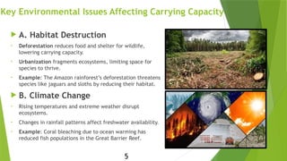 How do environmental issues affect the carrying capacity of any ...
