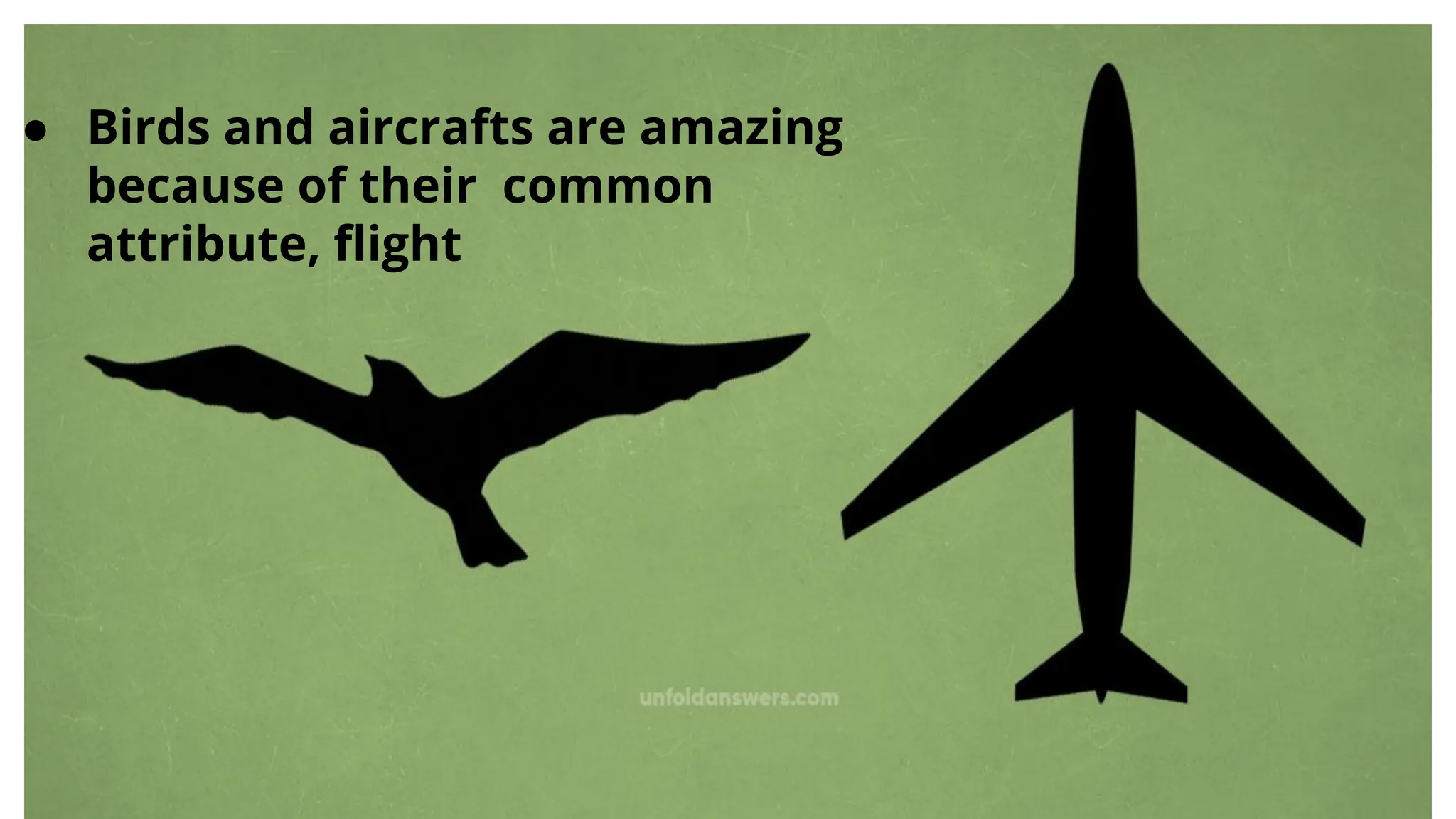 Comparison Between Bird flight and aircraft flight Mechanism | PDF