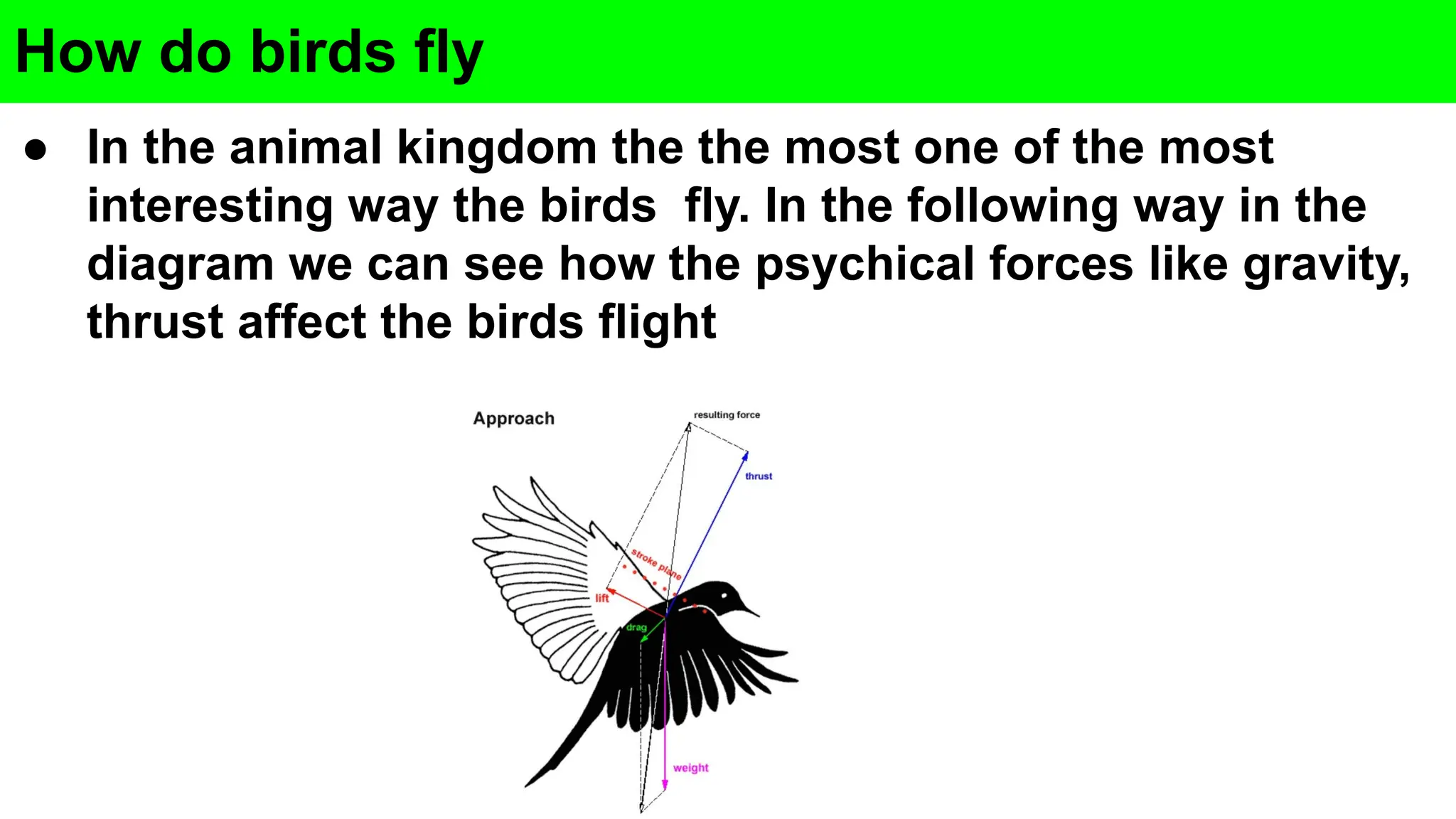 Comparison Between Bird flight and aircraft flight Mechanism | PDF