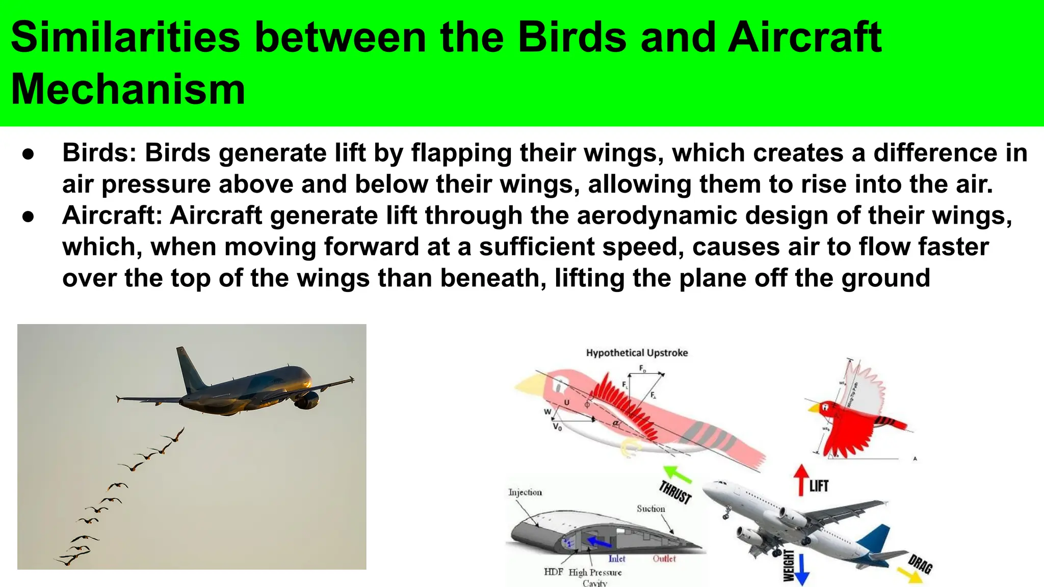 Comparison Between Bird flight and aircraft flight Mechanism | PDF
