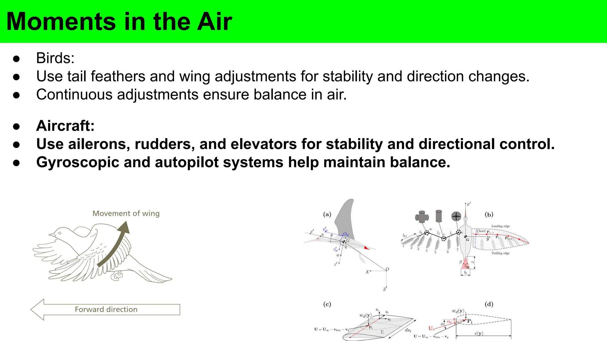 Comparison Between Bird flight and aircraft flight Mechanism | PDF