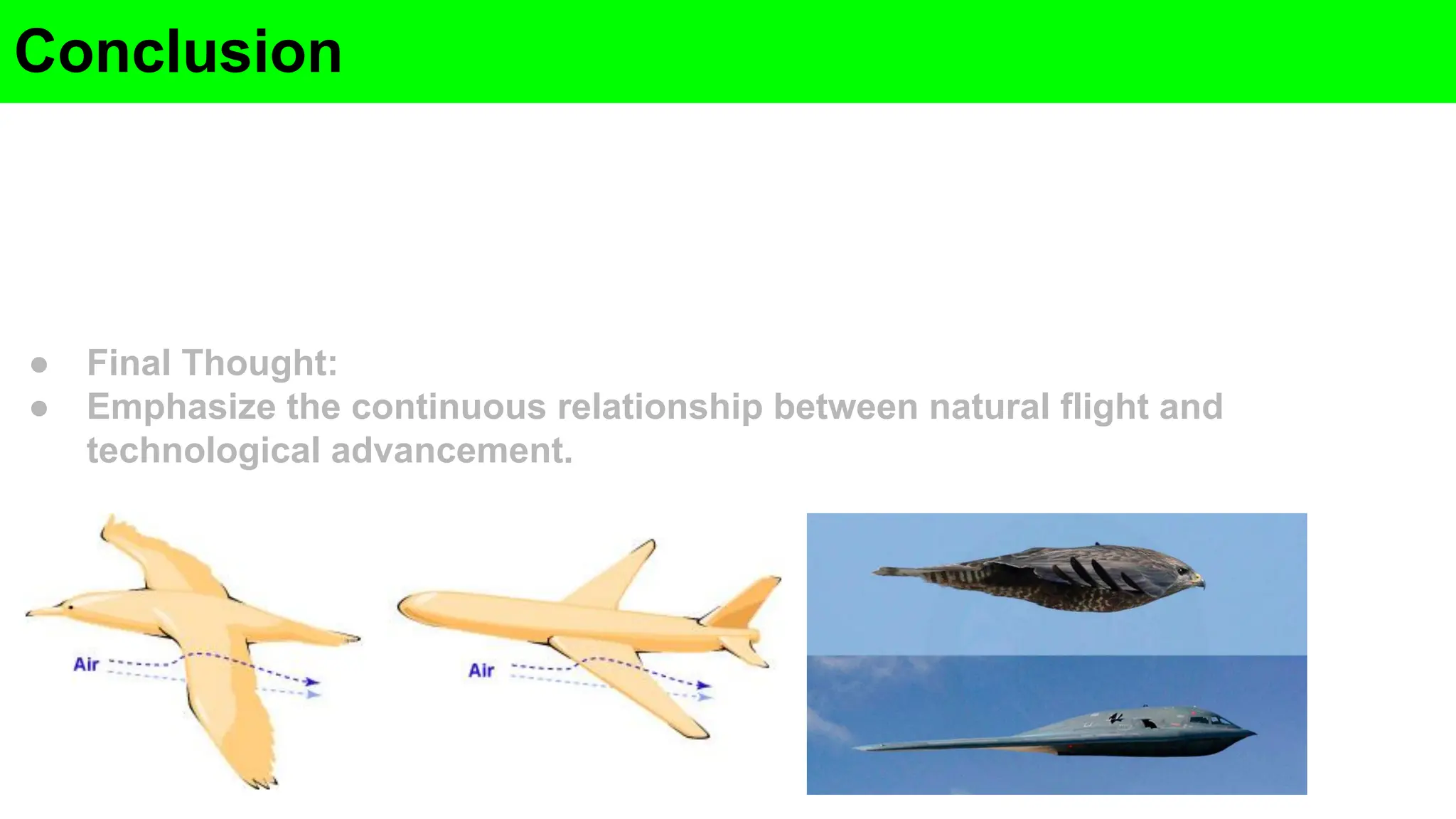 Comparison Between Bird flight and aircraft flight Mechanism | PDF