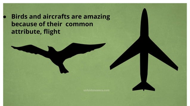 Comparison Between Bird flight and aircraft flight Mechanism | PDF
