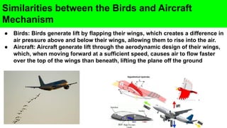 Comparison Between Bird flight and aircraft flight Mechanism | PDF