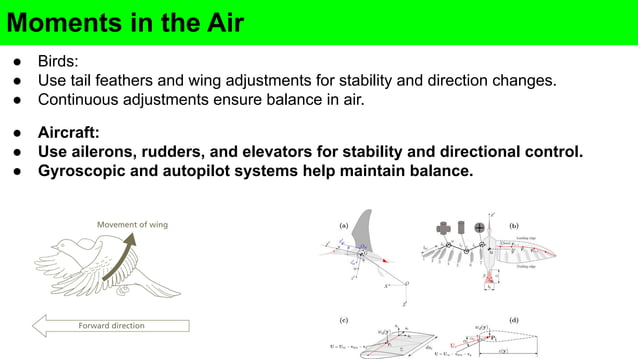 Comparison Between Bird flight and aircraft flight Mechanism | PDF