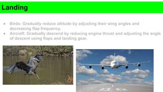 Comparison Between Bird flight and aircraft flight Mechanism | PDF