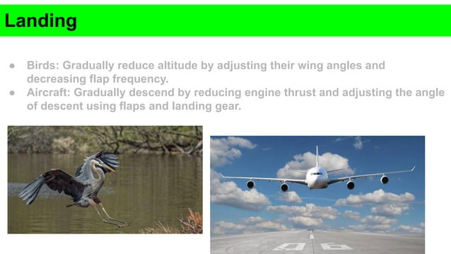 Comparison Between Bird flight and aircraft flight Mechanism | PDF