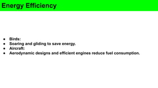 Comparison Between Bird flight and aircraft flight Mechanism | PDF