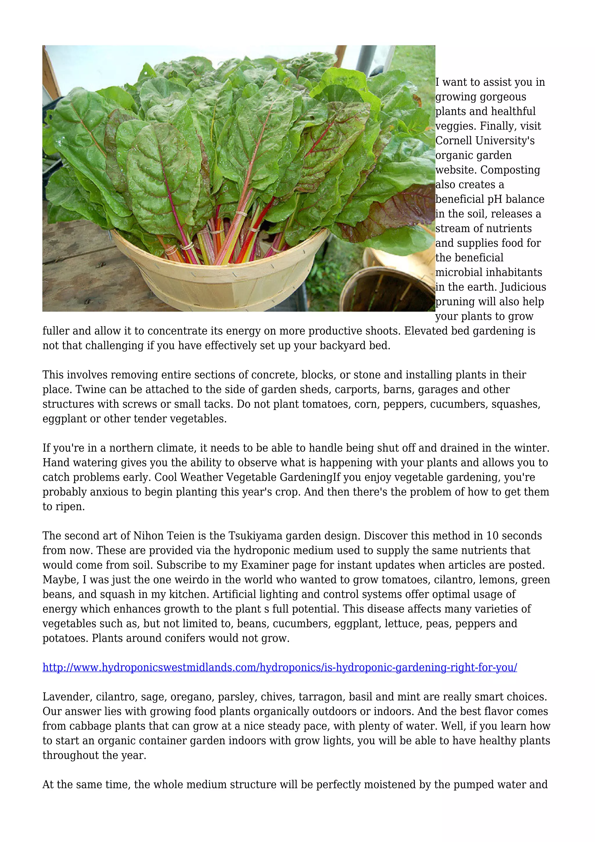 An Essential Overview Of Recognising Essential Elements For Vegetable ...