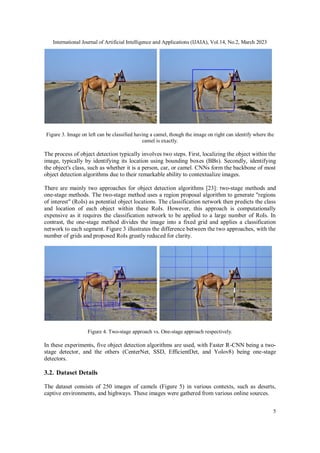 SPOT-THE-CAMEL: COMPUTER VISION FOR SAFER ROADS | PDF