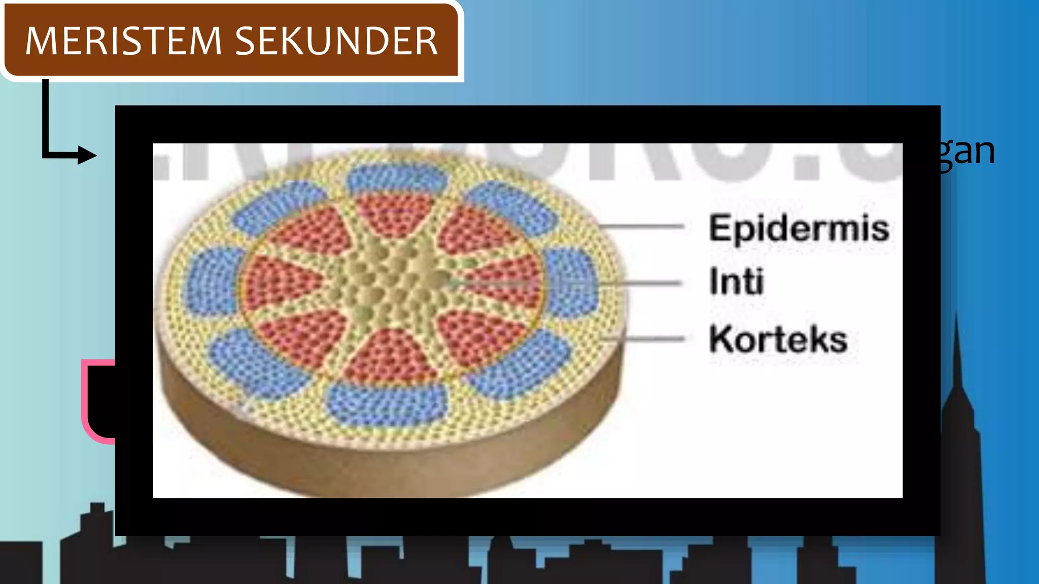 Struktur dan Fungsi Sel Penyusun Jaringan Tumbuhan | PPTX