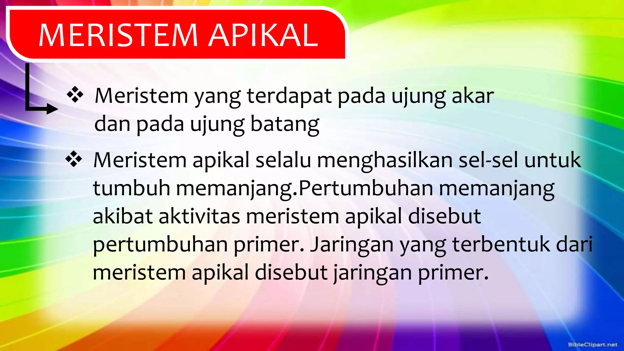 Struktur dan Fungsi Sel Penyusun Jaringan Tumbuhan | PPTX