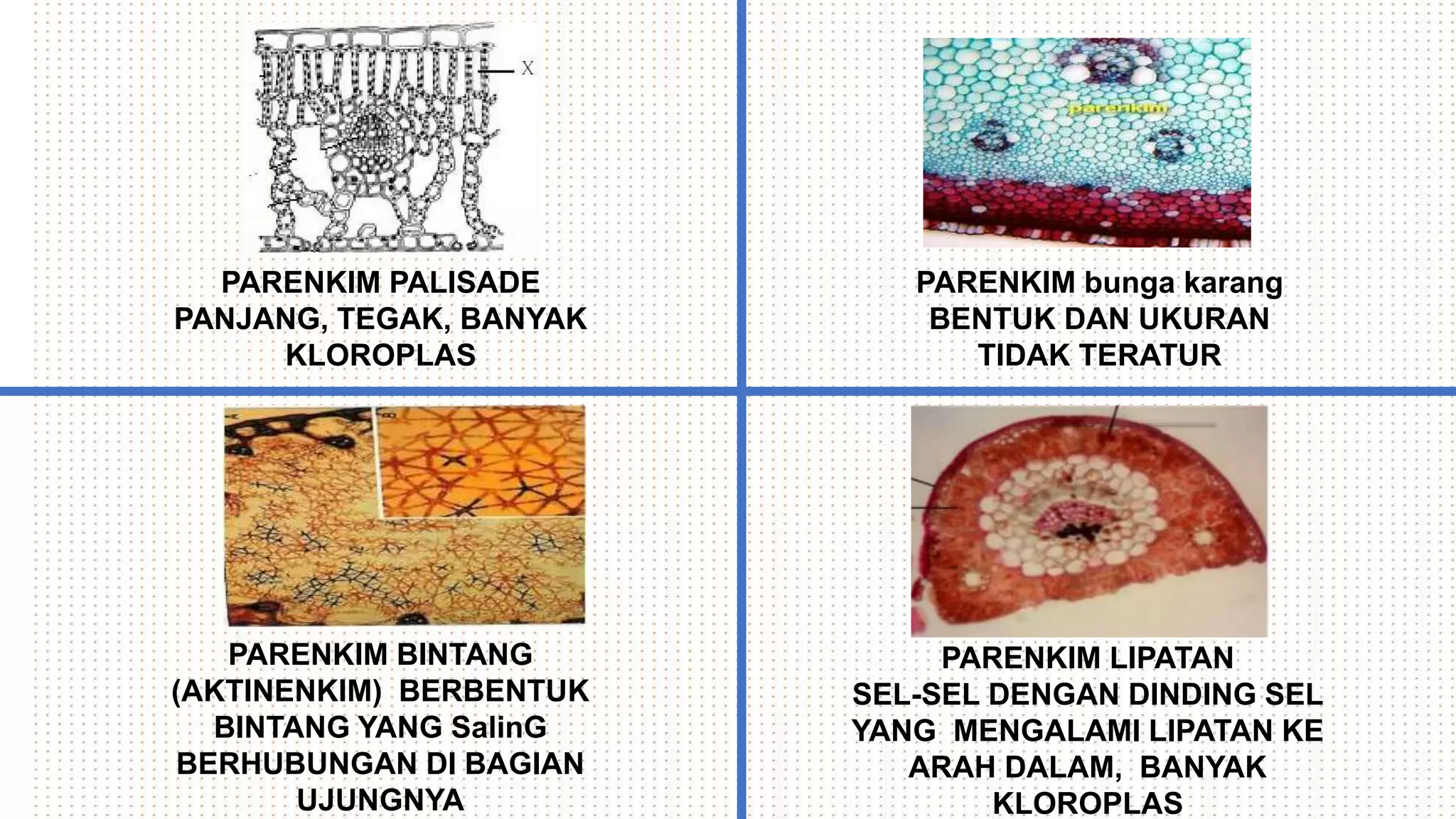 Struktur dan Fungsi Sel Penyusun Jaringan Tumbuhan | PPTX