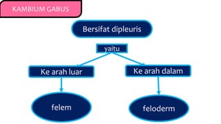 Struktur dan Fungsi Sel Penyusun Jaringan Tumbuhan | PPTX