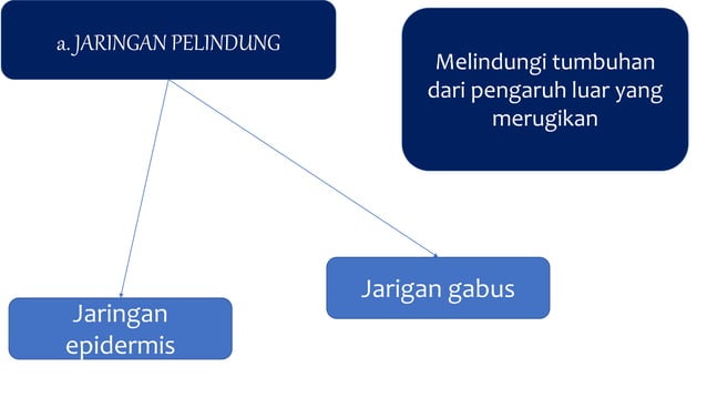 Struktur dan Fungsi Sel Penyusun Jaringan Tumbuhan | PPTX