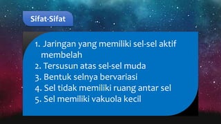 Struktur dan Fungsi Sel Penyusun Jaringan Tumbuhan | PPTX