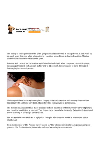 Your Brain Is the Cause of Your Back Pain! | PDF | Physical Therapy ...
