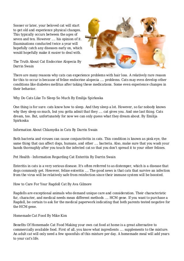 Pets :: Cats Articles
