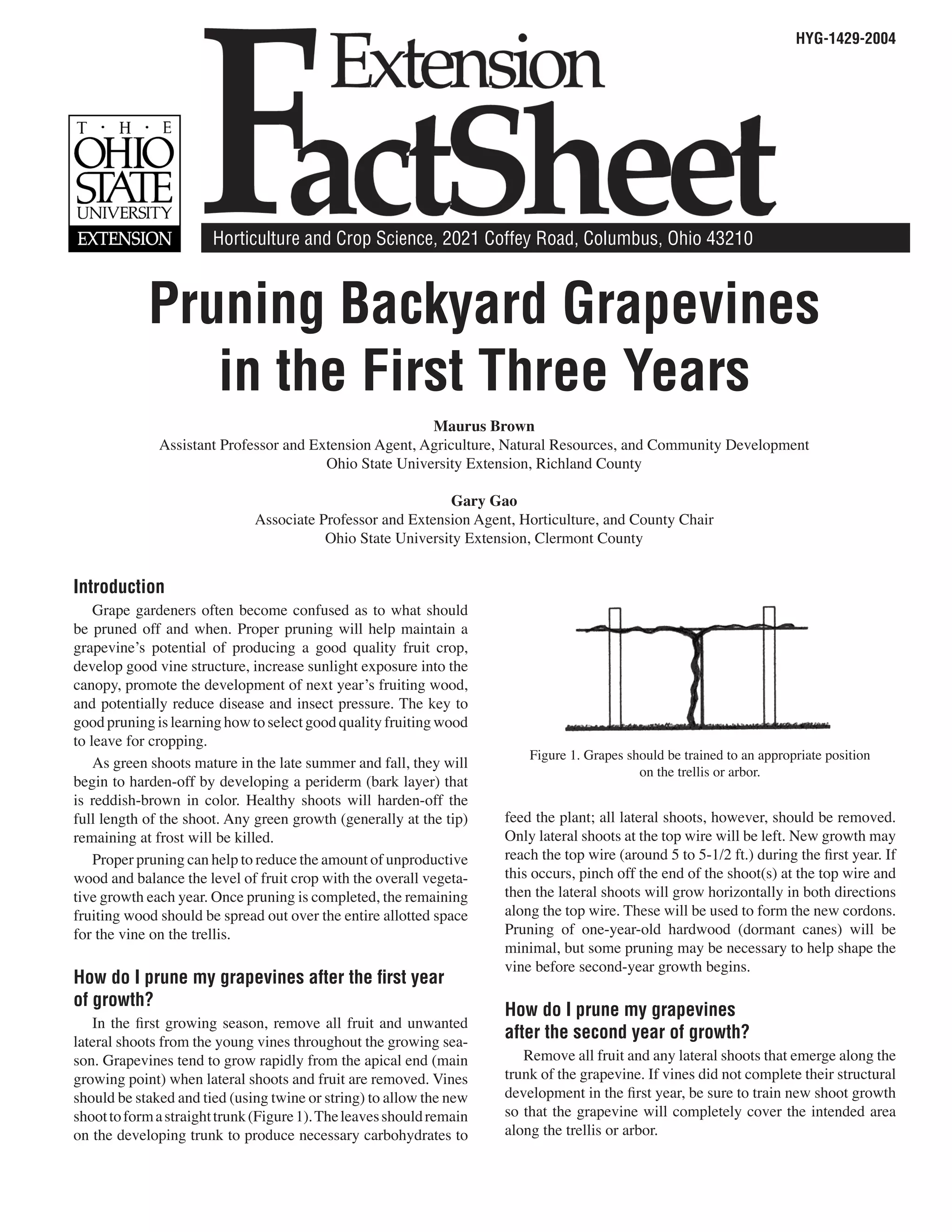 Pruning Backyard Grapevines | PDF