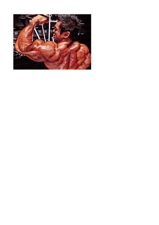 Safety and Security: AOL Security Alert | PDF