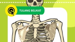 Mengenal tulang pada manusia part 1 | PPSX