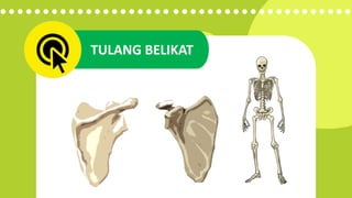 Mengenal tulang pada manusia part 1 | PPSX