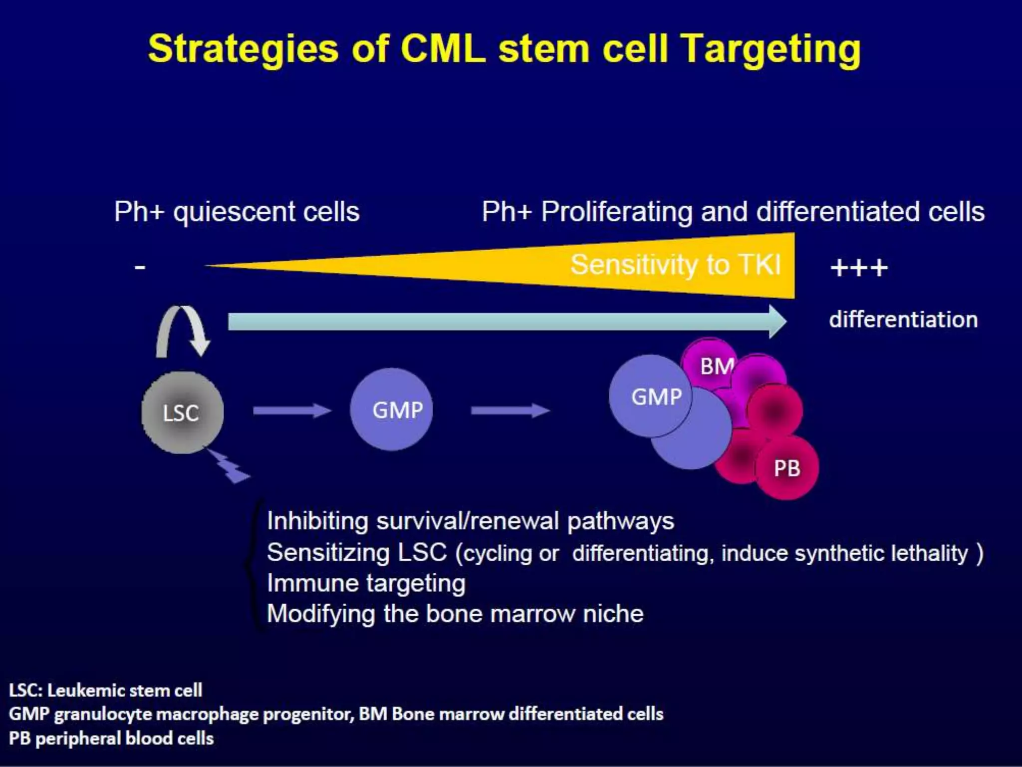 TKI discontinuation in CML | PPTX