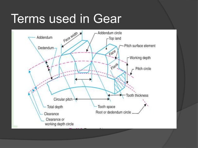 Gear Tooth Terminology | PPTX | Physics | Science