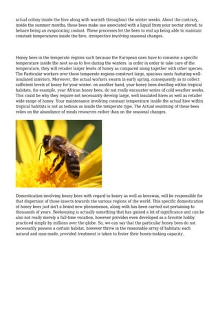 Honey Bees Habitat | PDF
