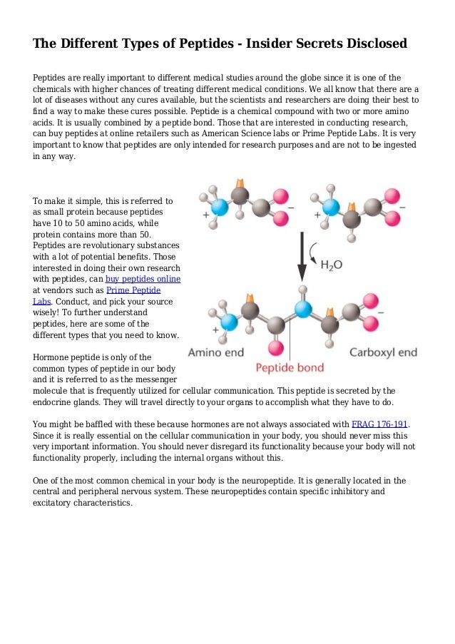 The Different Types of Peptides - Insider Secrets Disclosed