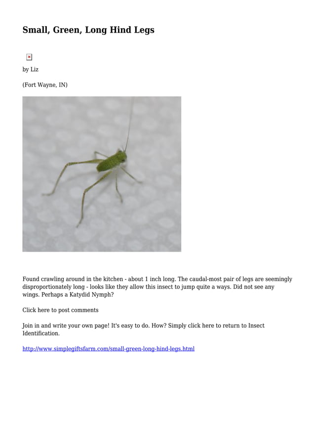 Small, Green, Long Hind Legs | PDF